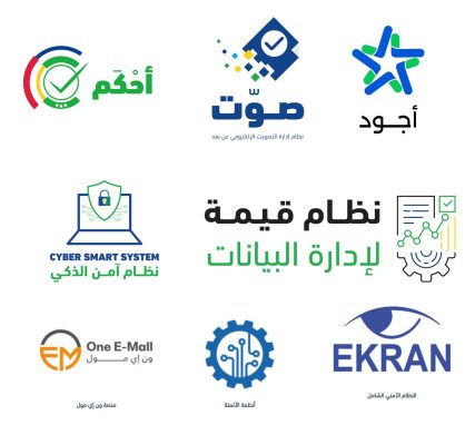 تنفيذ وتطوير ضوابط إدارة البيانات الوطنية (NDMO) | شركة RMG