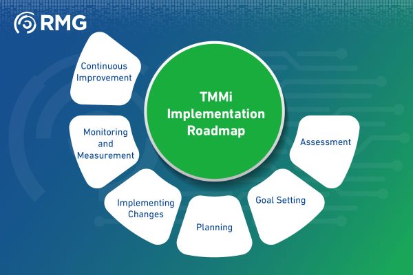 A Roadmap for Understanding and Implementing The Test Maturity Model ...