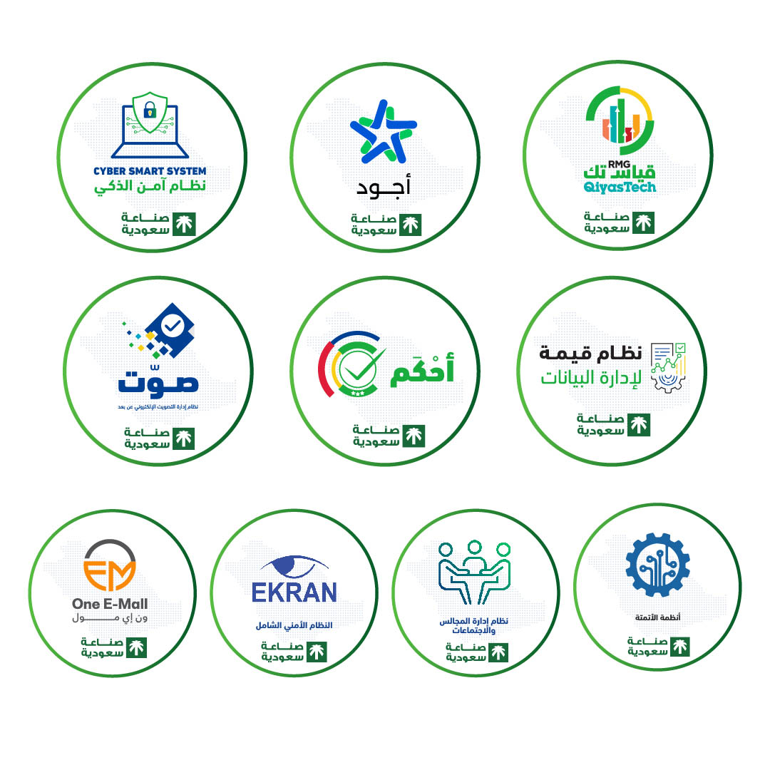 تنفيذ وتطوير ضوابط إدارة البيانات الوطنية (NDMO) | شركة RMG